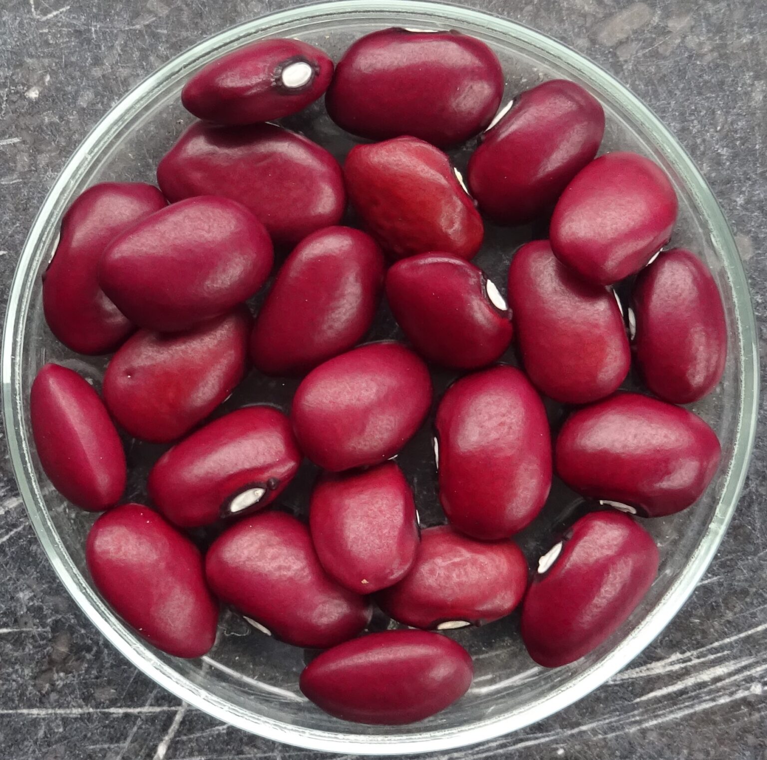 Montezuma Red – Belle Epoque Meise